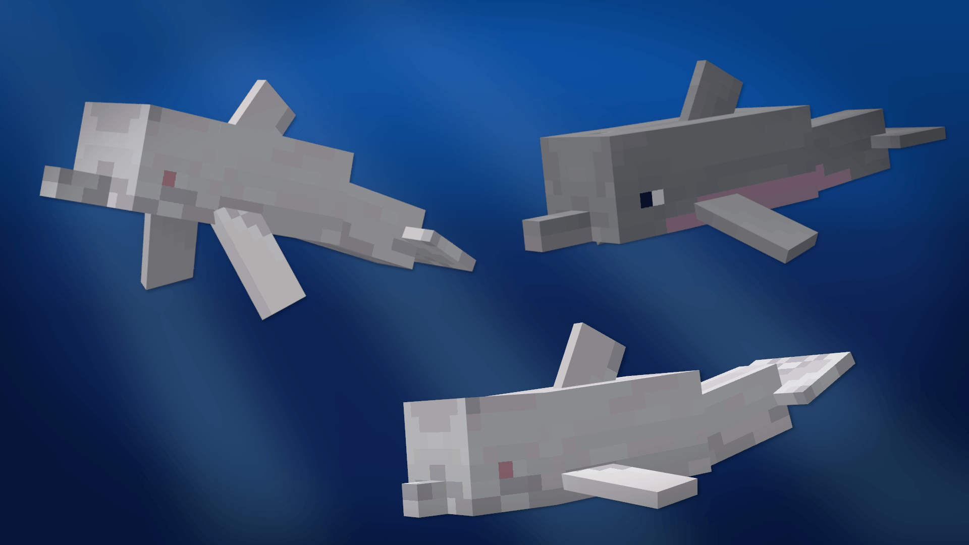 Divin' Dolphins - Minecraft Bedrock Addons - CurseForge