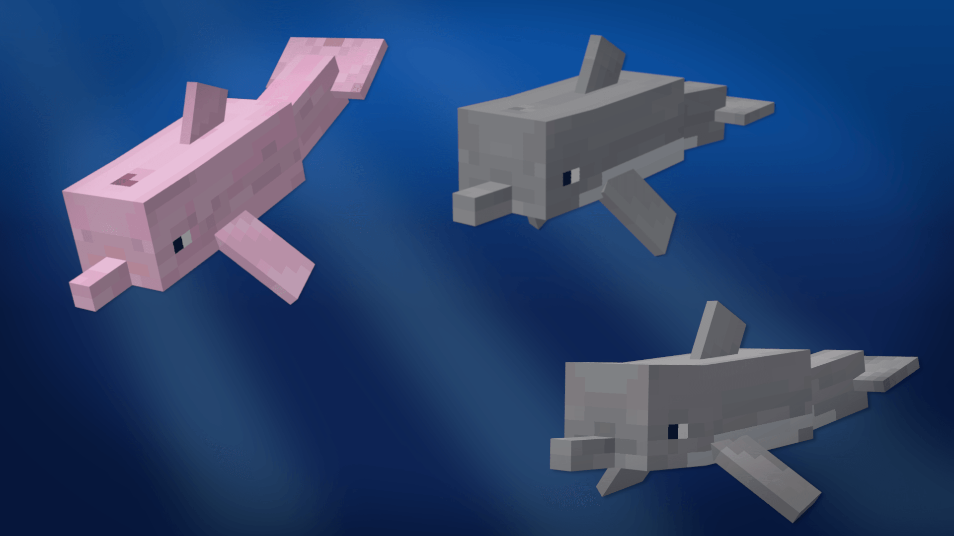 Divin' Dolphins - Minecraft Bedrock Addons - CurseForge