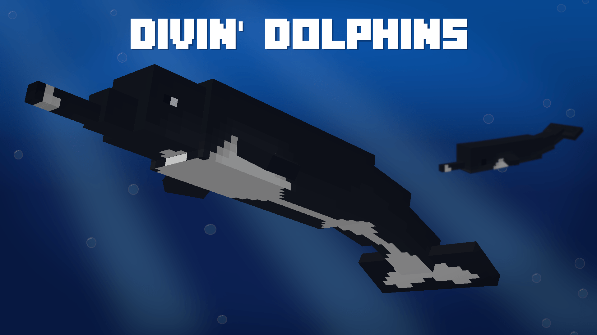 Divin' Dolphins - Minecraft Bedrock Addons - CurseForge