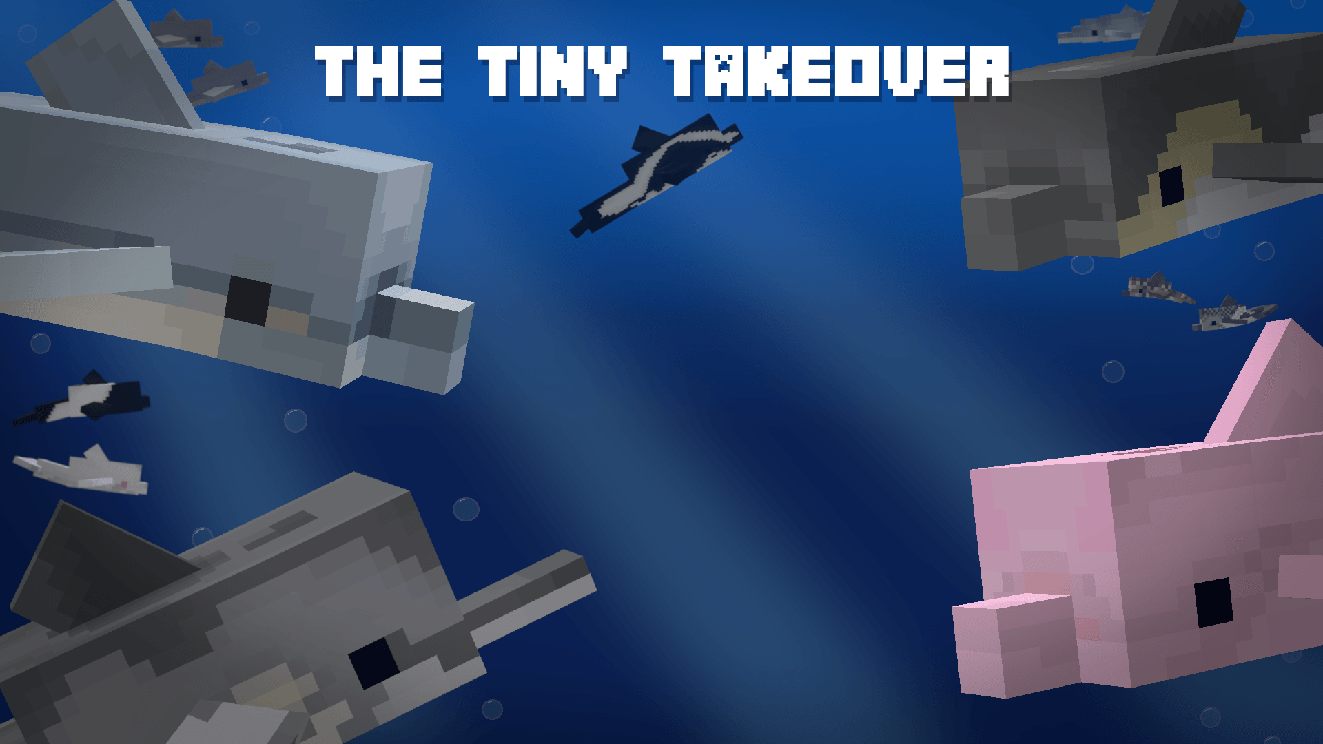 Divin' Dolphins - Minecraft Bedrock Addons - CurseForge