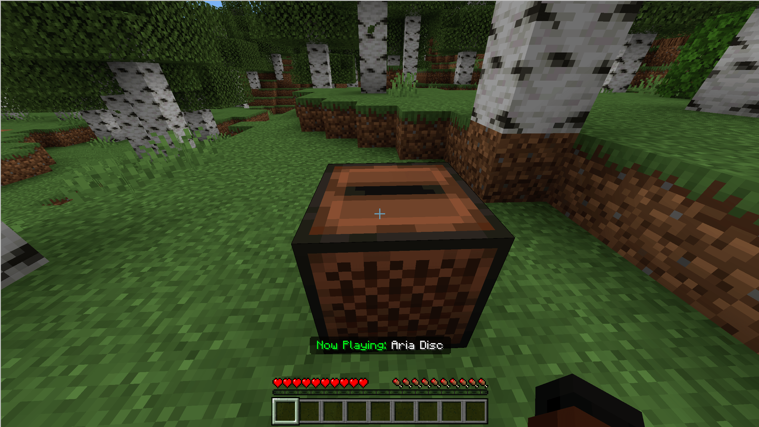 Aria Math (feat. Landon Bassier) Music Disc - Minecraft Bedrock Addons ...