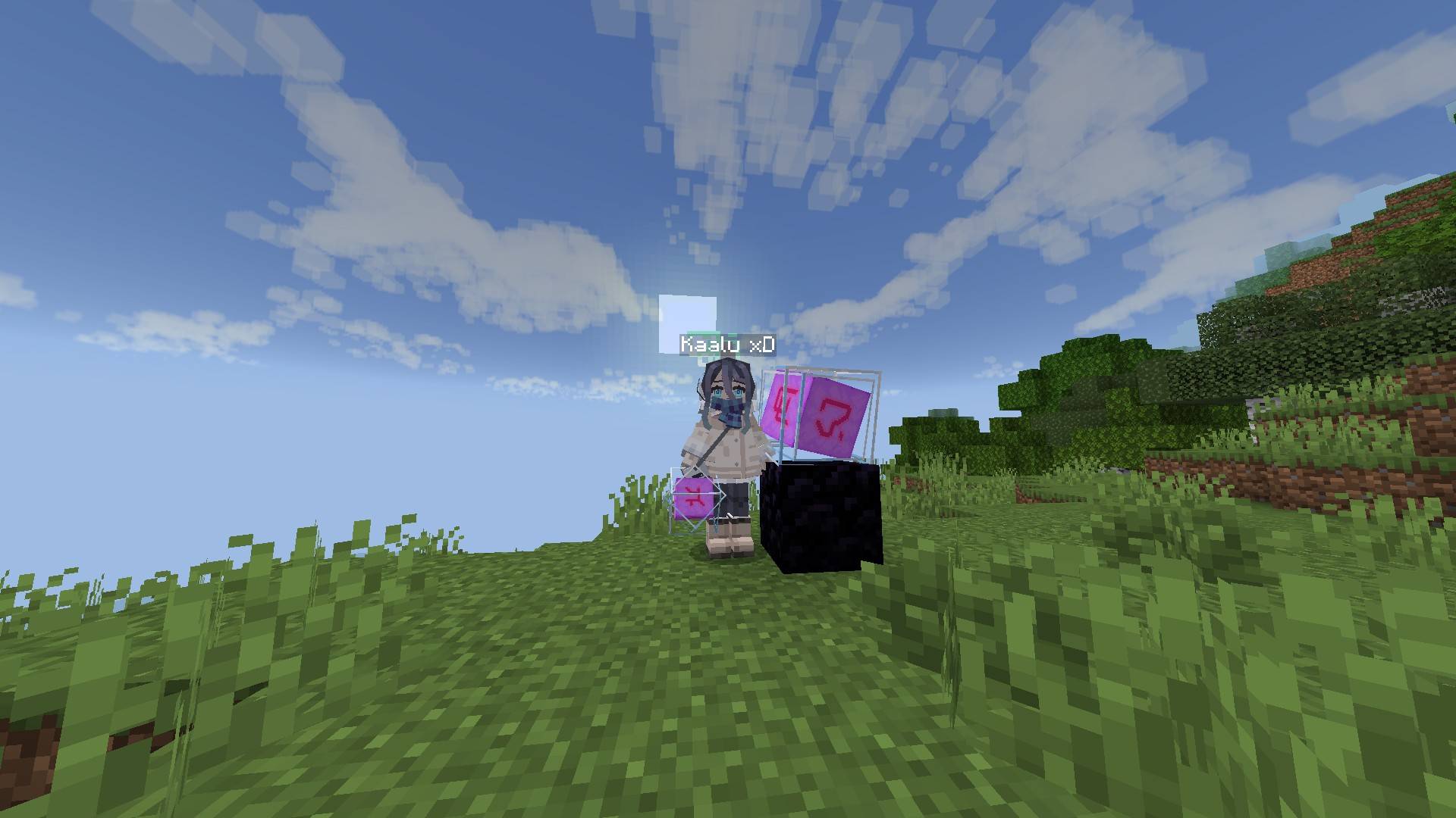 Crystal optimizer - Minecraft Bedrock Texture Packs - CurseForge
