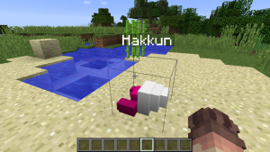 Programming 8x9Craft - Gallery - Minecraft Mods - CurseForge