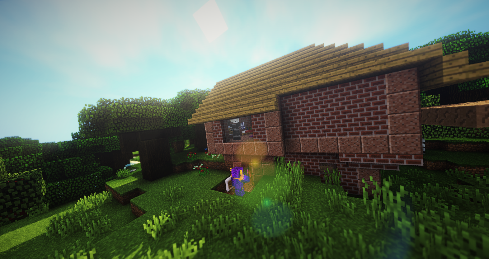 Minecraft Hexxit Village