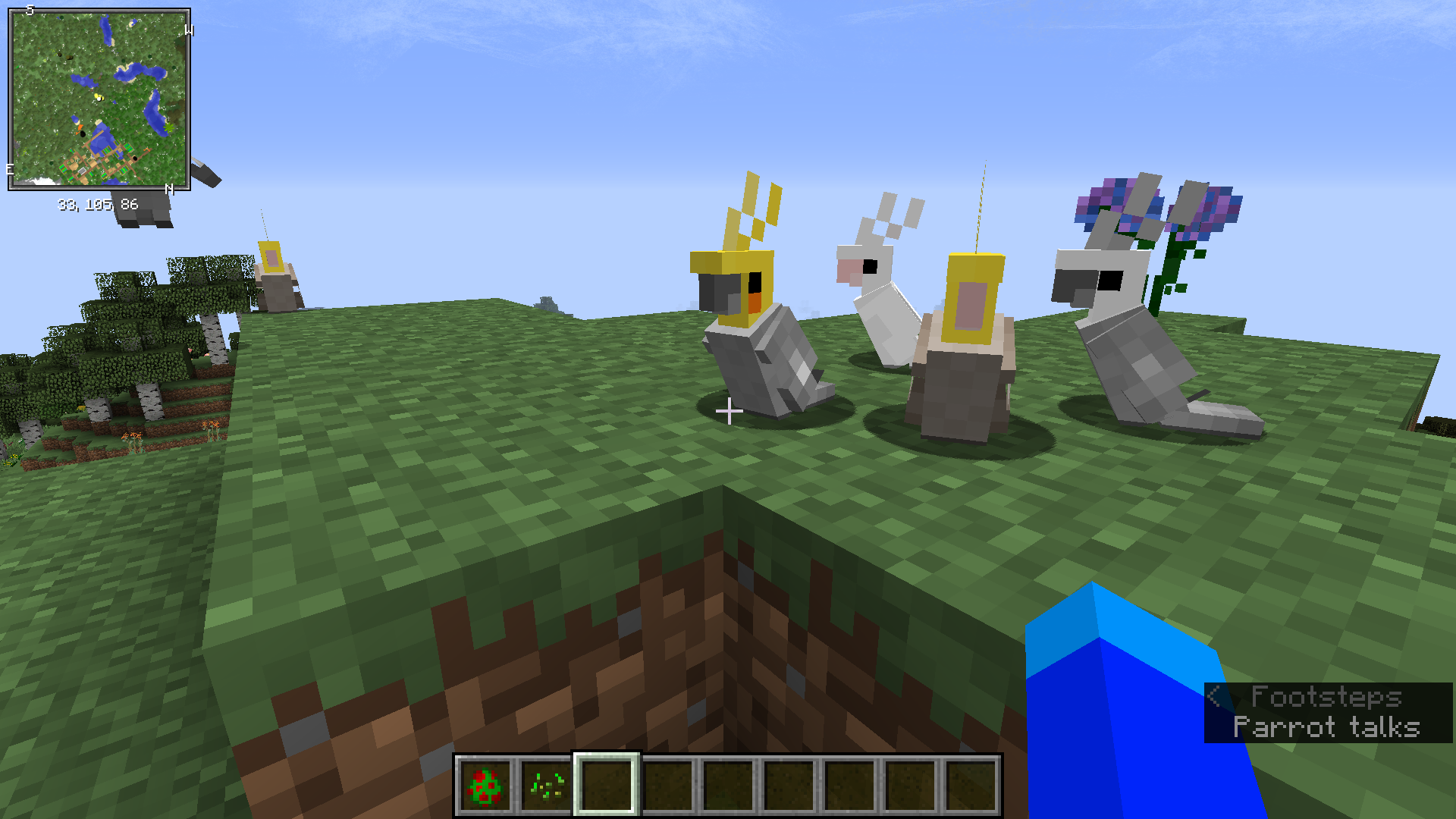 OOPS! All cockatiels(and no other parrot) - Gallery - Minecraft ...