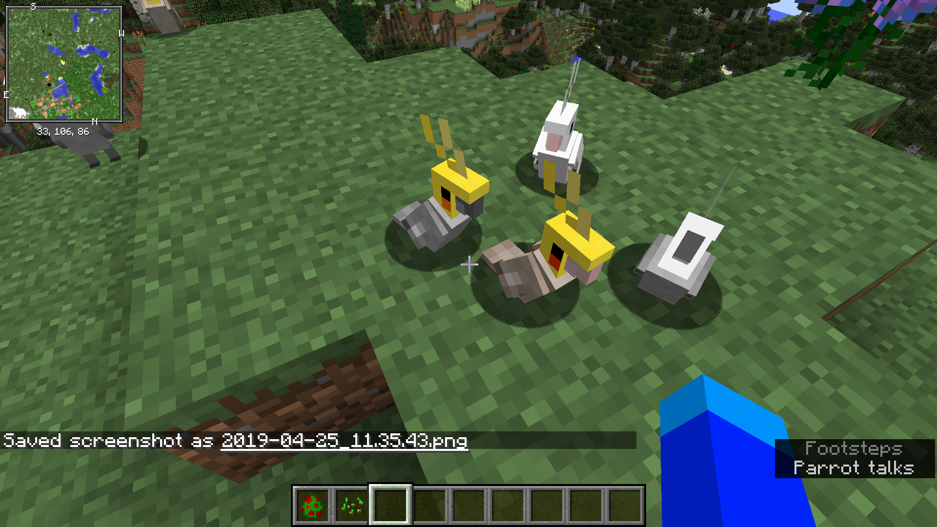 OOPS! All cockatiels(Now with sound!) - Gallery - Minecraft Resource ...