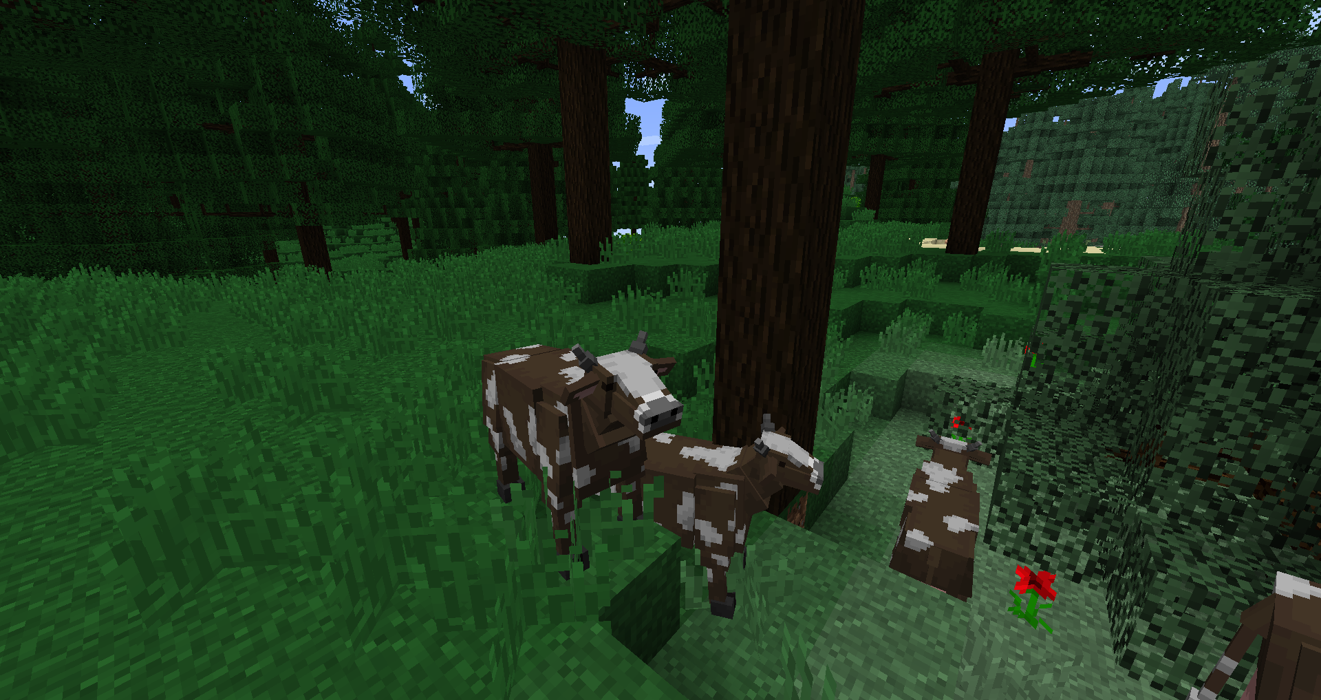 Realistic Life (WildLife&Space) - Minecraft Modpacks - CurseForge