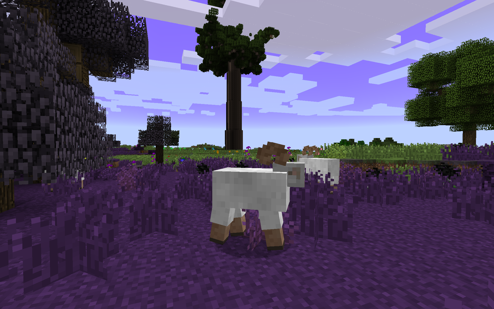 Specter Pack - Minecraft Modpacks - CurseForge