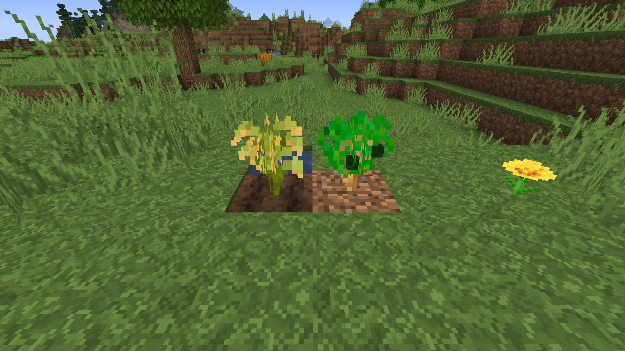 LaLega Sushi - Minecraft Mods - CurseForge