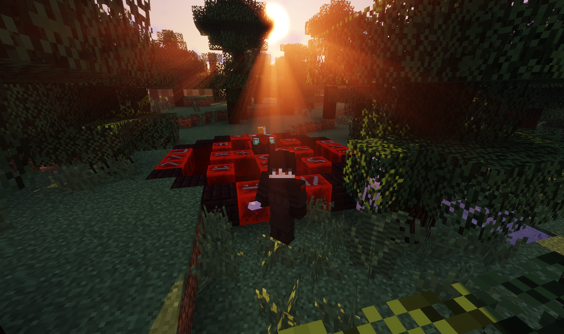 Arcaneum Witchery - Minecraft Mods - CurseForge