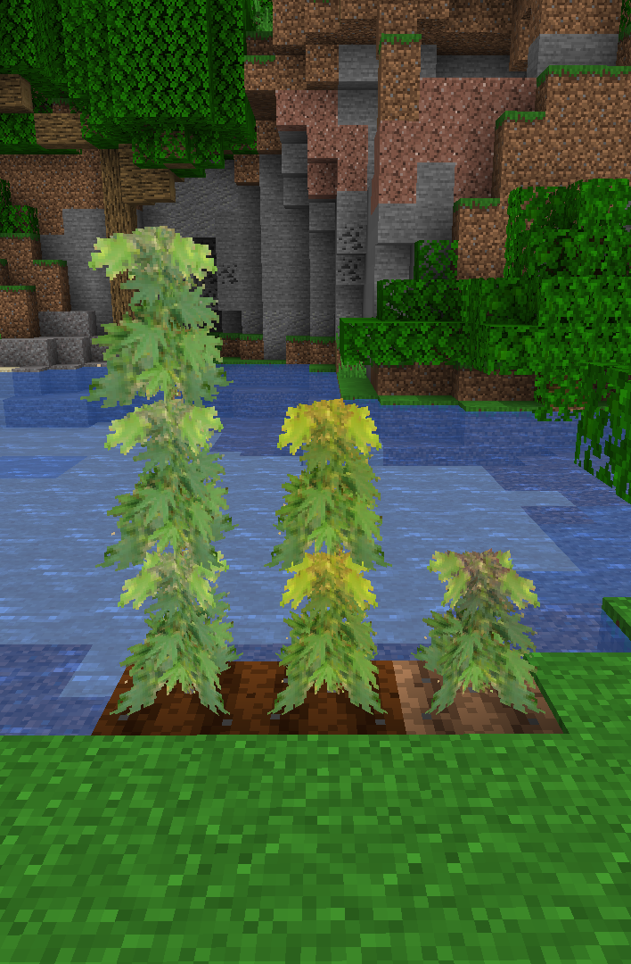 Minecraft CannabisCraft мод 2022 скачать бесплатно