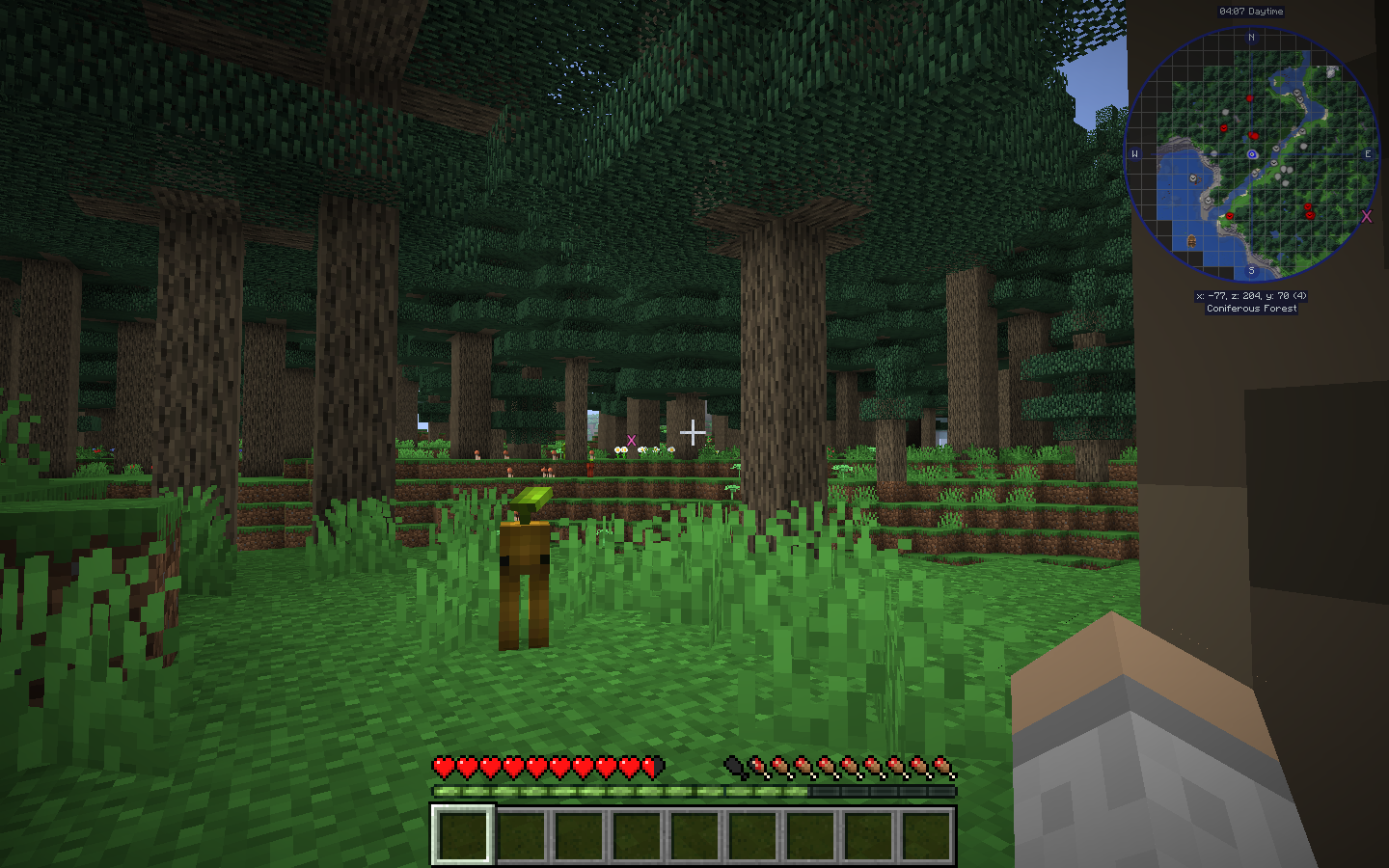 Wiz_Craft - Gallery - Minecraft Modpacks - CurseForge