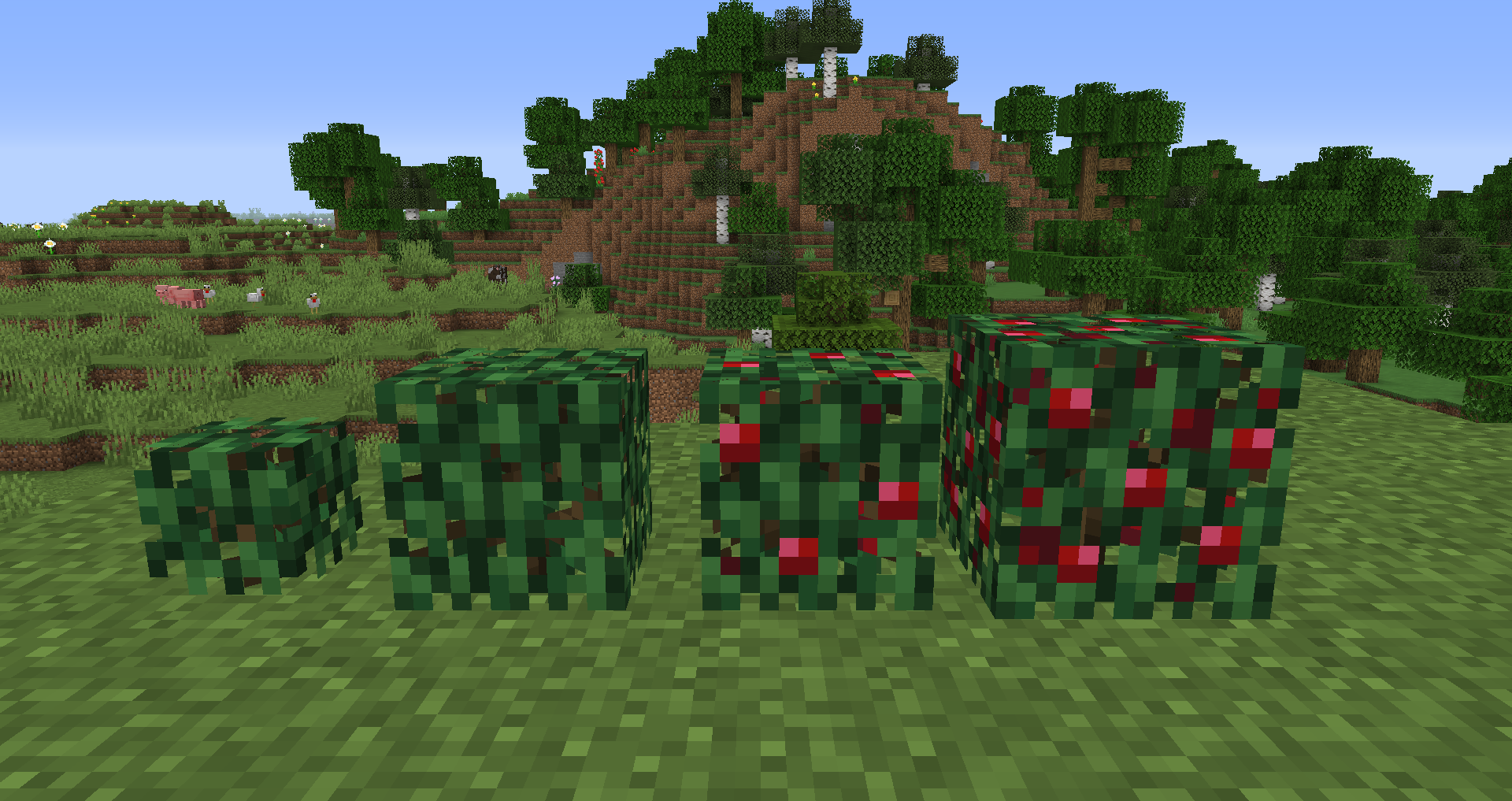 Blocky Sweet Berry Bush - Gallery - Minecraft Resource Packs - CurseForge