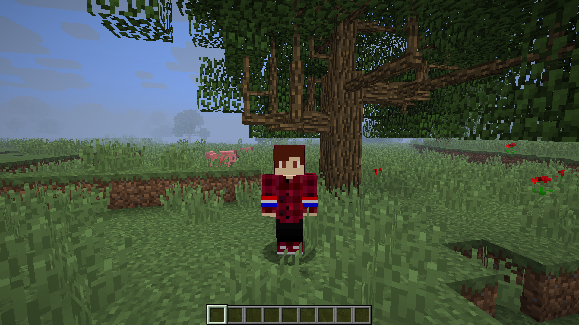 Light_Dig's Realistic Modpack - Minecraft Modpacks - CurseForge