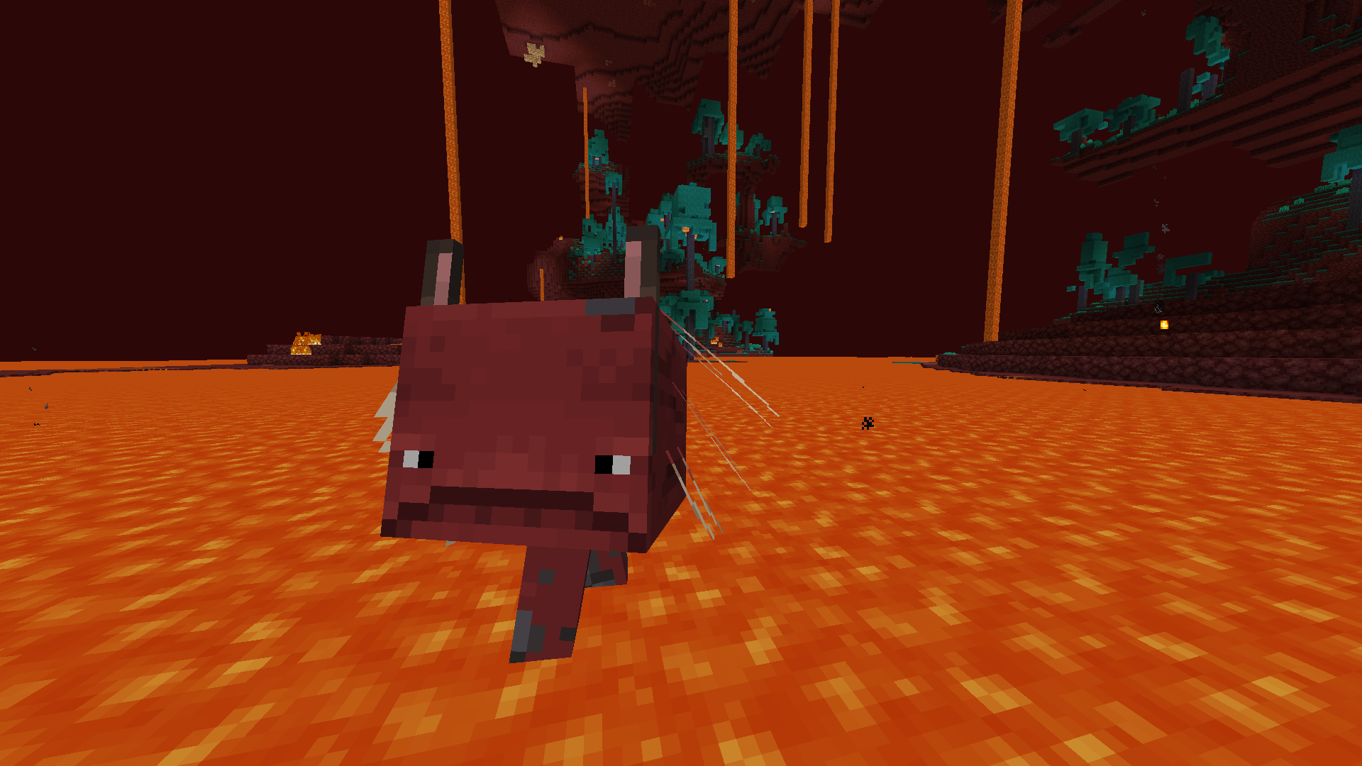 Muddy Rabbit Ears - Minecraft Resource Packs - CurseForge