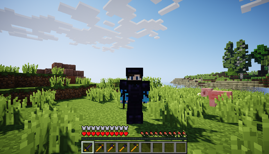 Nim Mod - Minecraft Mods - CurseForge