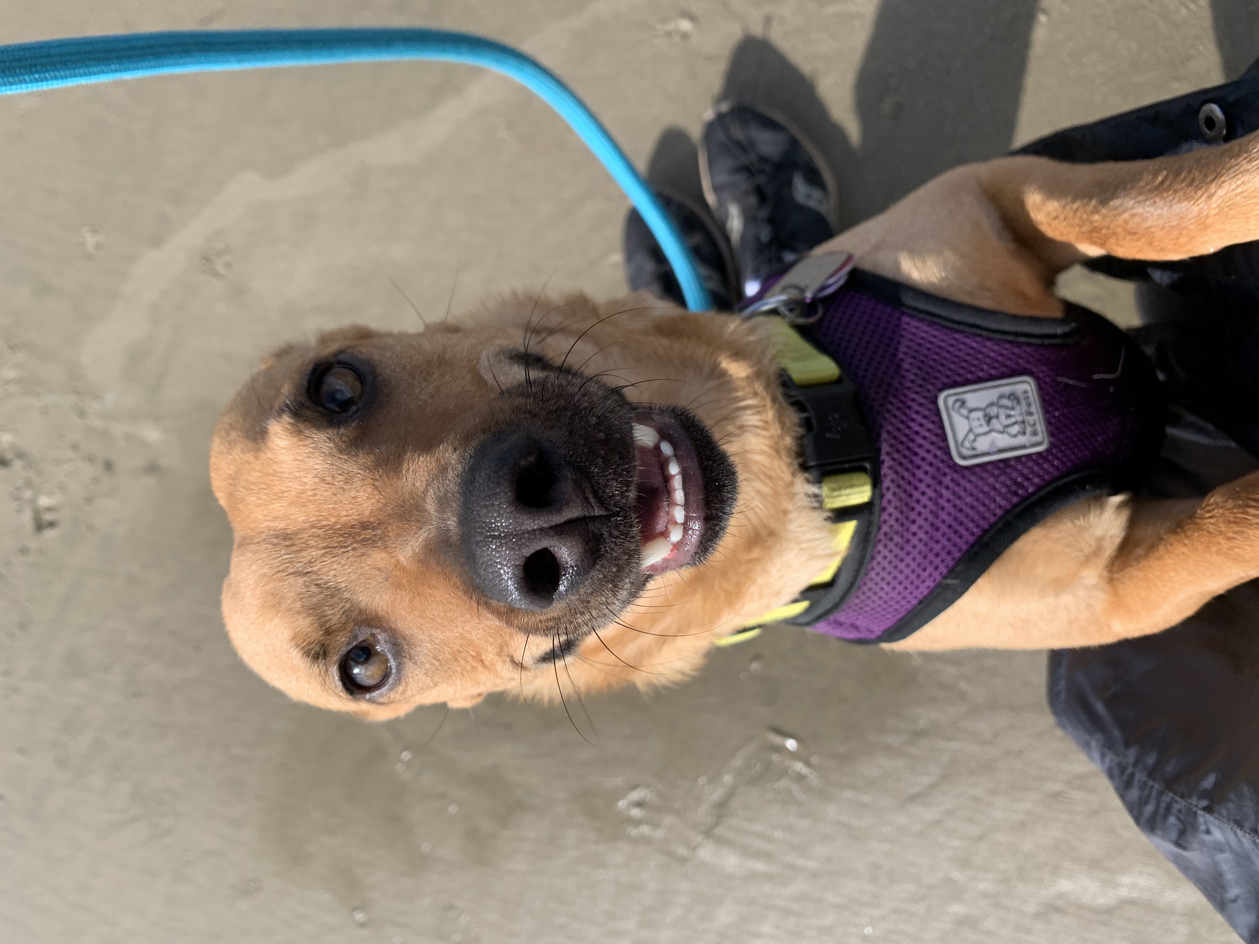 Cannolicraft - Minecraft Mods - CurseForge