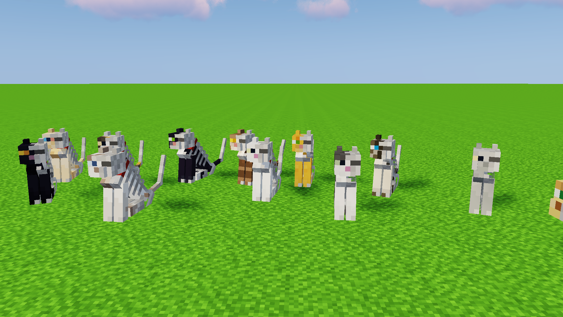 Schrodinger's cats - Gallery - Minecraft Resource Packs - CurseForge