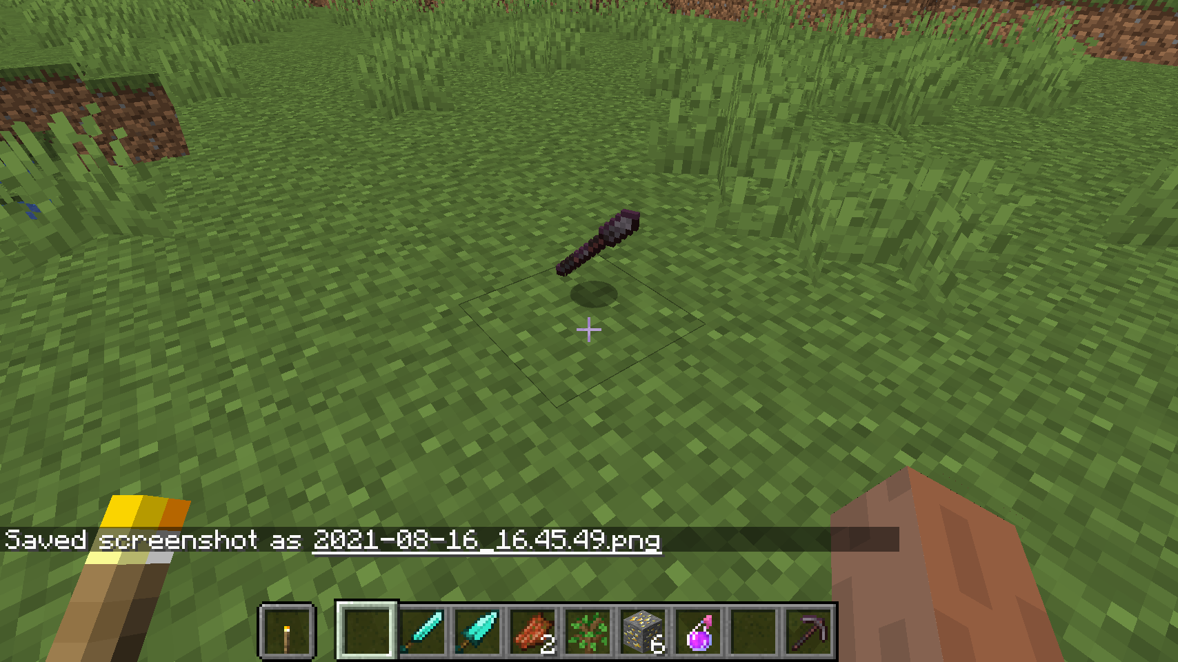 Assassin - Minecraft Mods - CurseForge