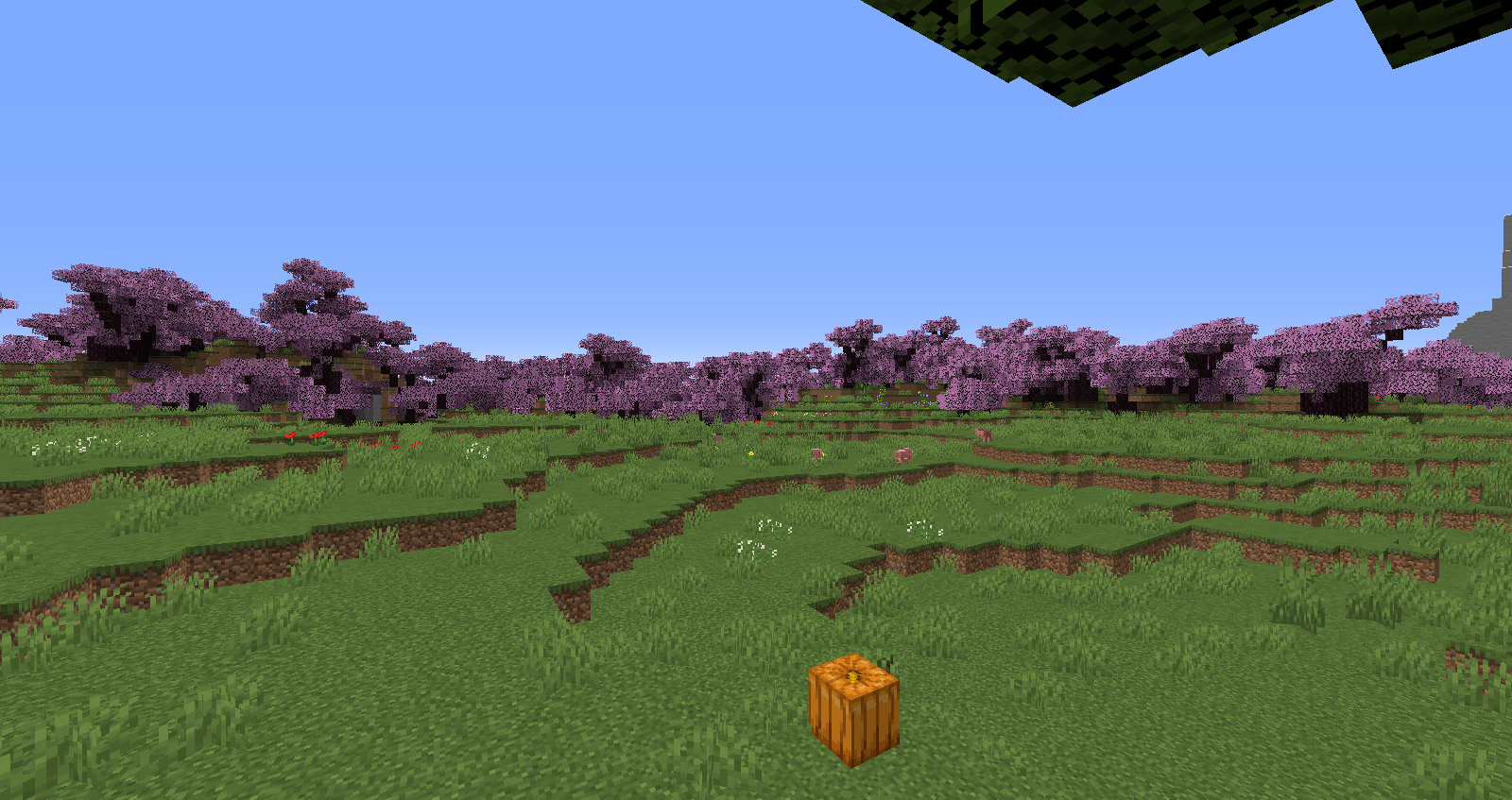 Arky's Environment - Minecraft Mods - CurseForge