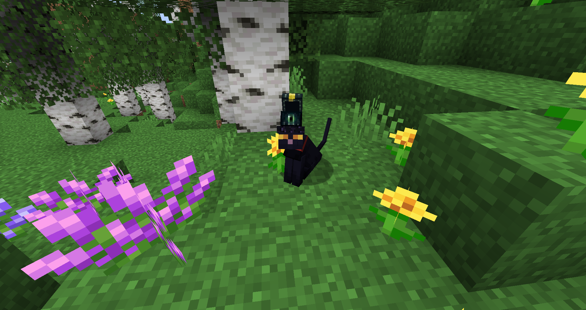 BASK Kitchen Sink - Minecraft Modpacks - CurseForge