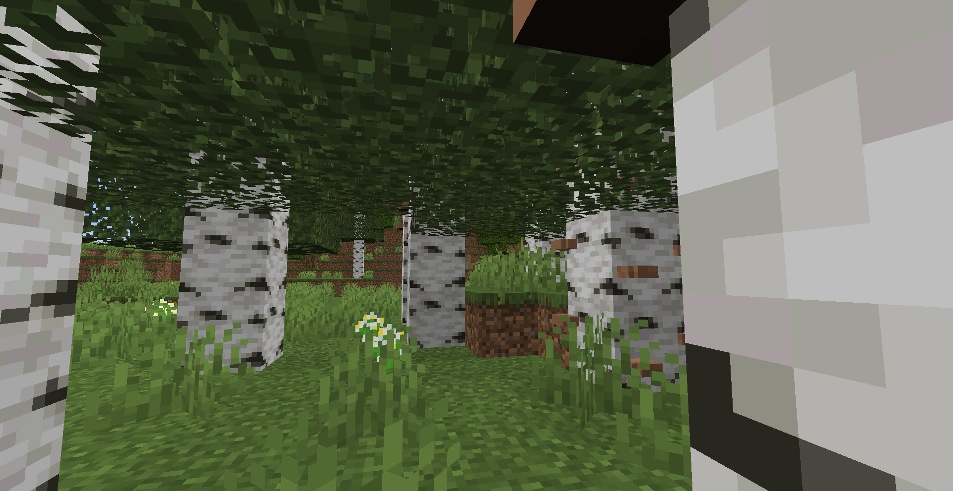 The Wild Update Mod. - Minecraft Mods - CurseForge