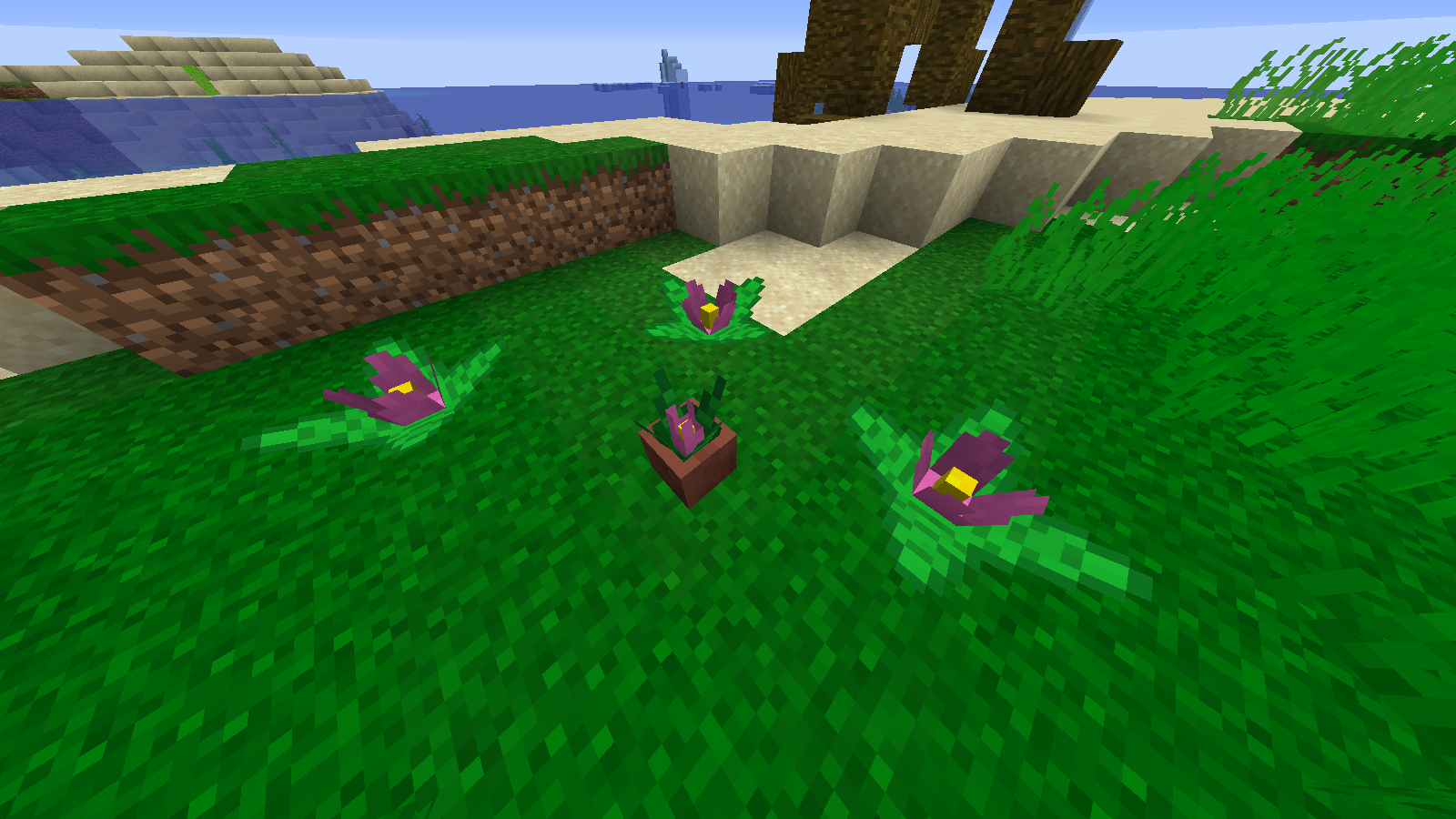 Sill Wild - Minecraft Mods - CurseForge