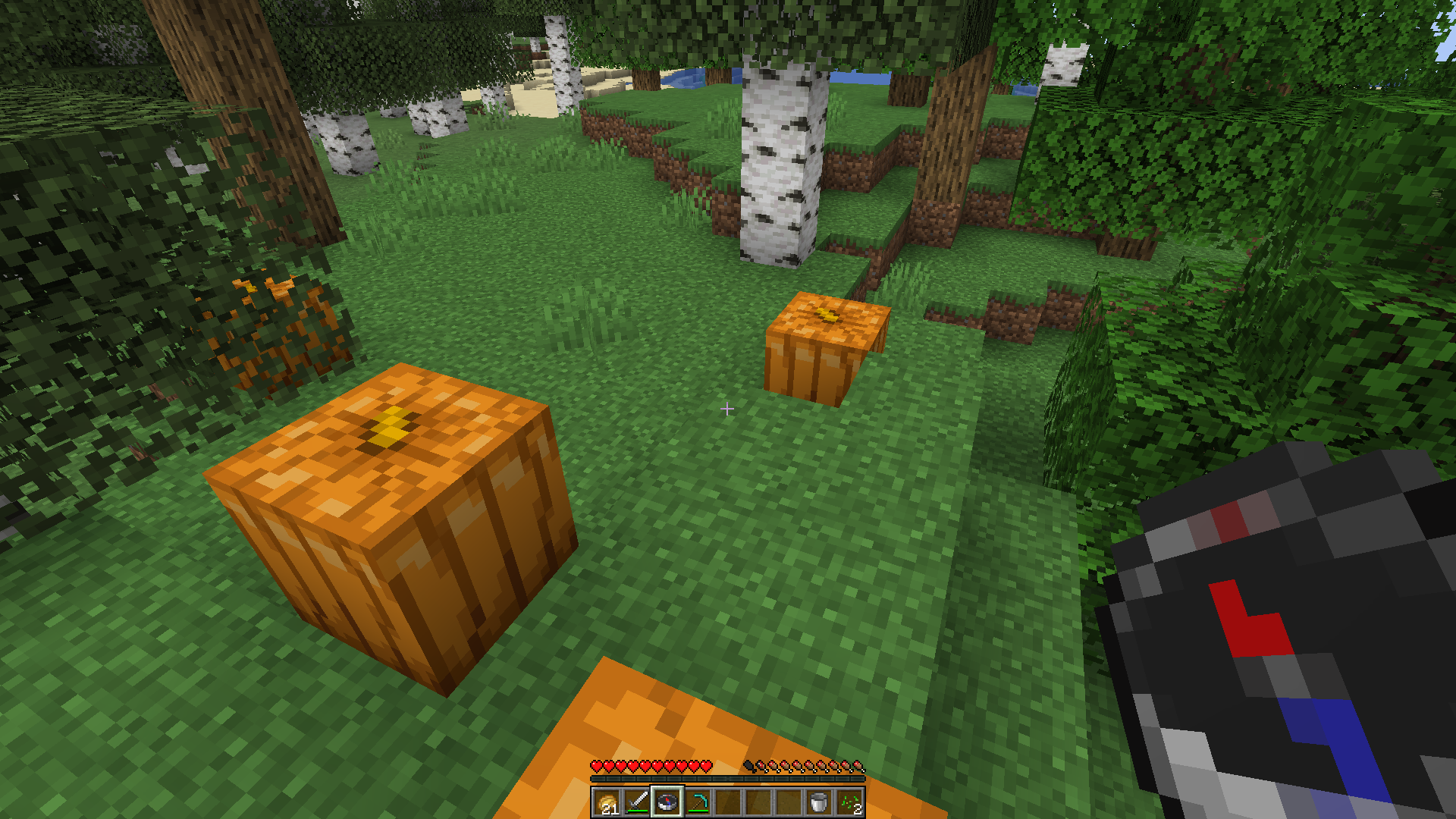 DSWG Better Compass - Gallery - Minecraft Resource Packs - CurseForge