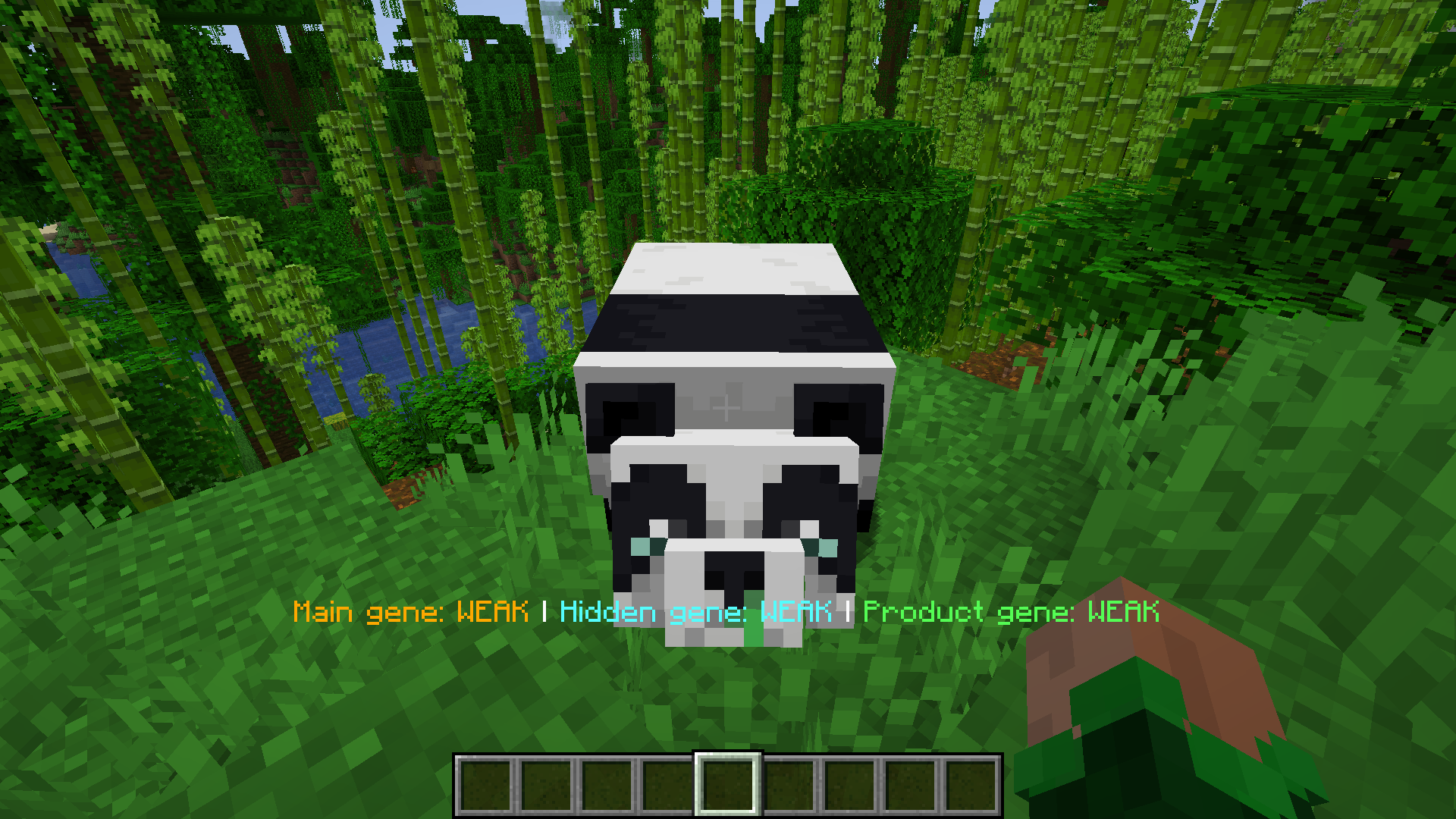 Panda Hypixel Minecraft
