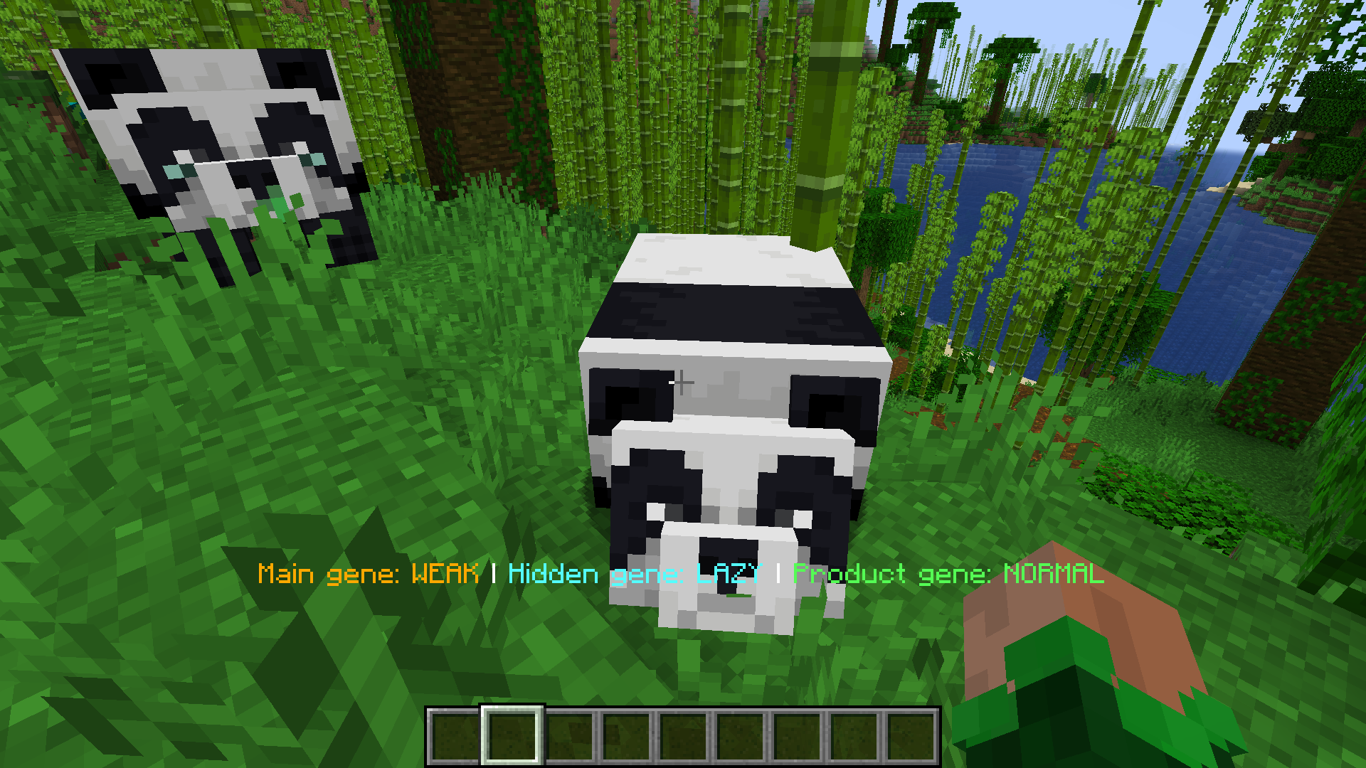 Panda Info - Minecraft Mods - CurseForge