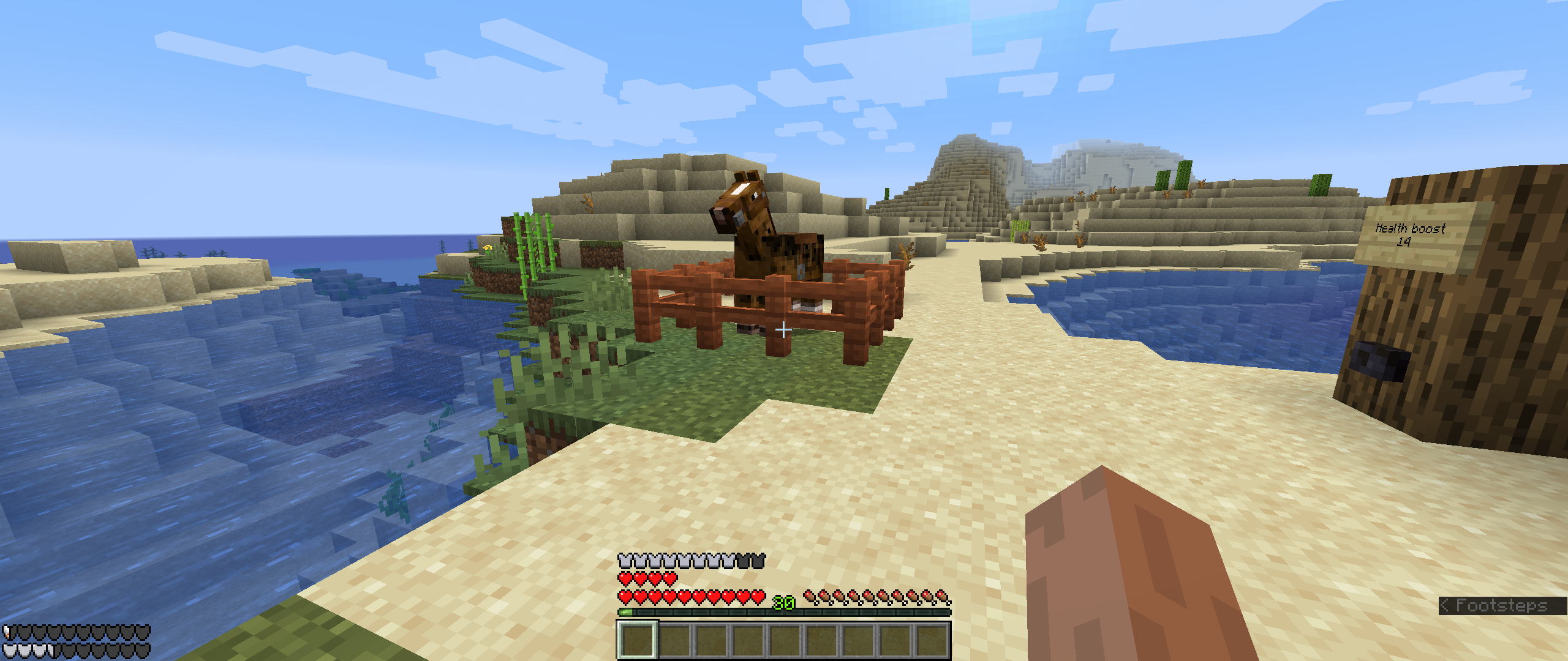 Extra Armor Info - Minecraft Mods - CurseForge