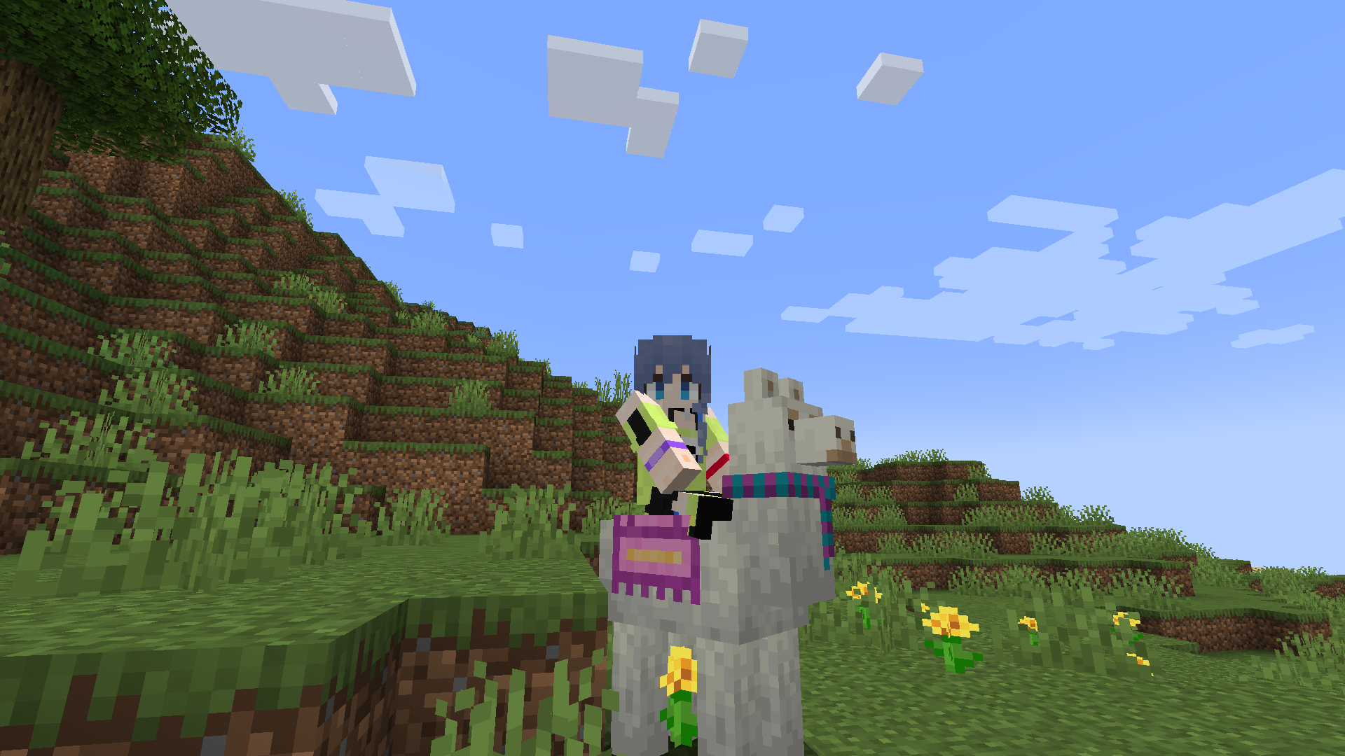 Llama scarf - Minecraft Resource Packs - CurseForge