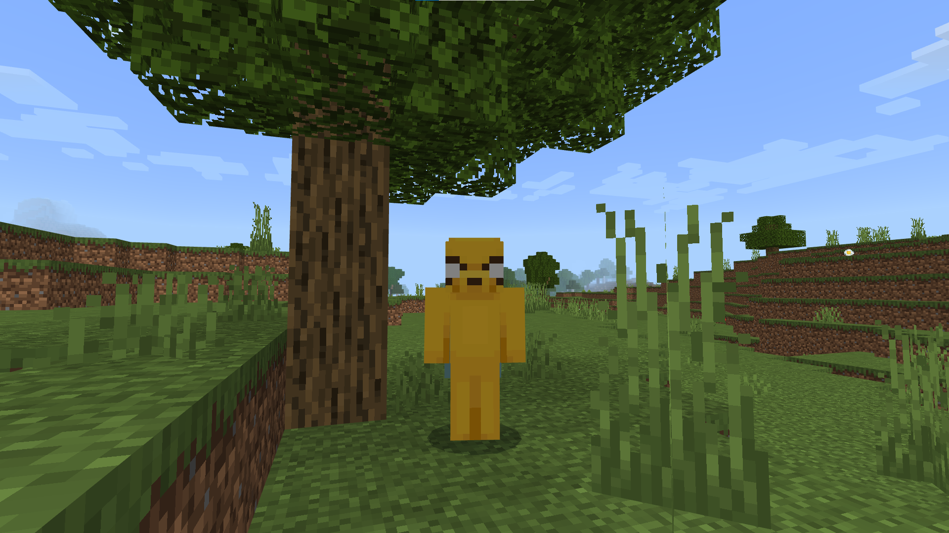 Adventure Time Skin Pack - Minecraft Bedrock Addons - CurseForge