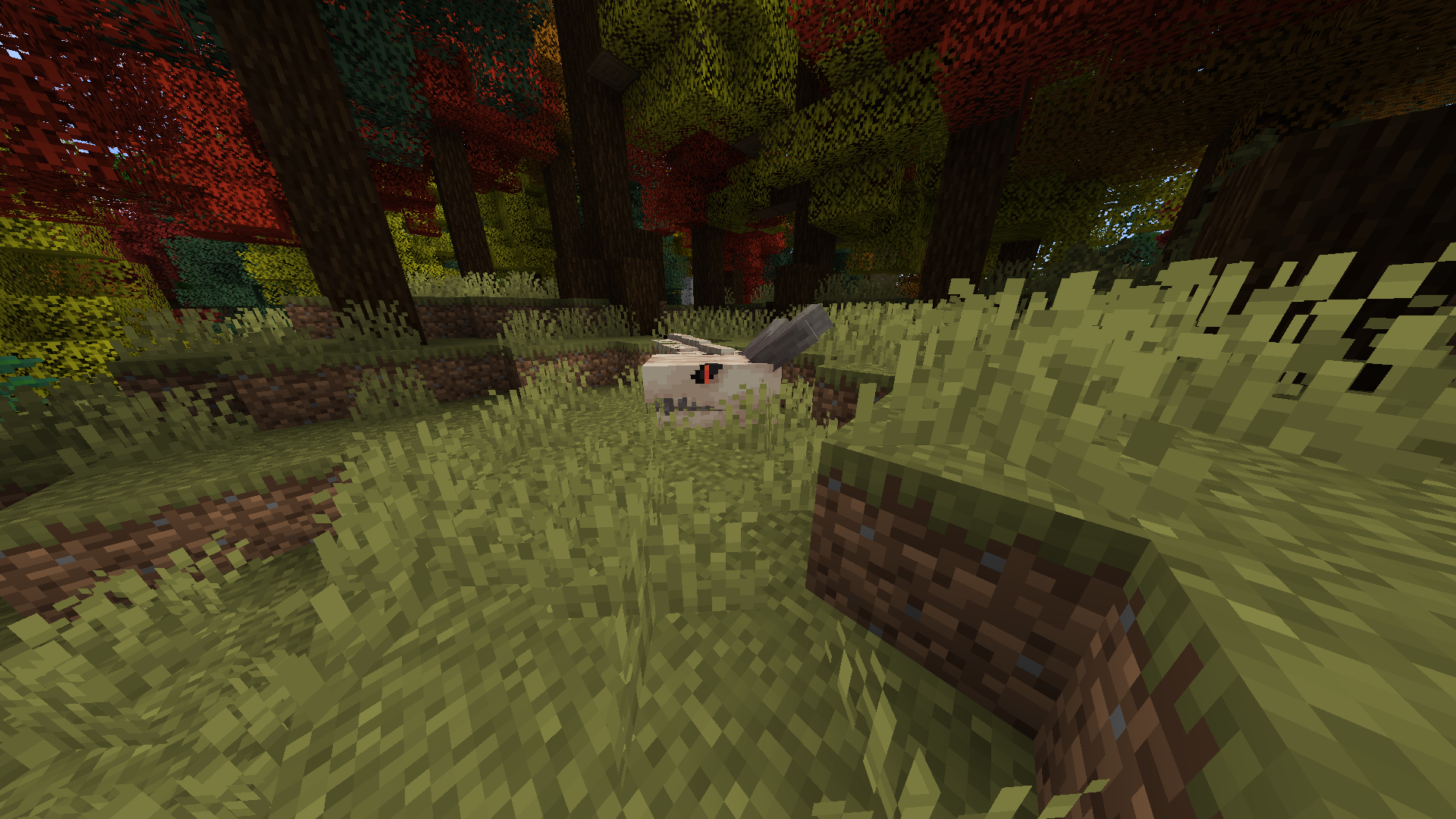 Adventure Craft - office king star - Minecraft Modpacks - CurseForge