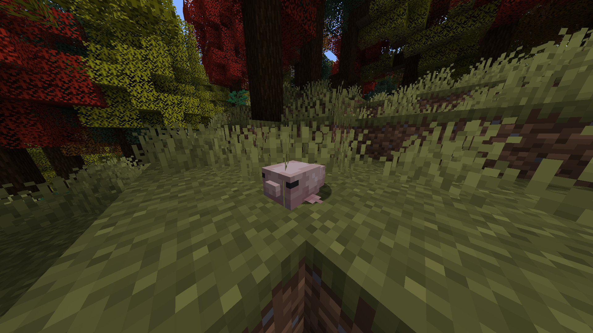 Adventure Craft - office king star - Minecraft Modpacks - CurseForge