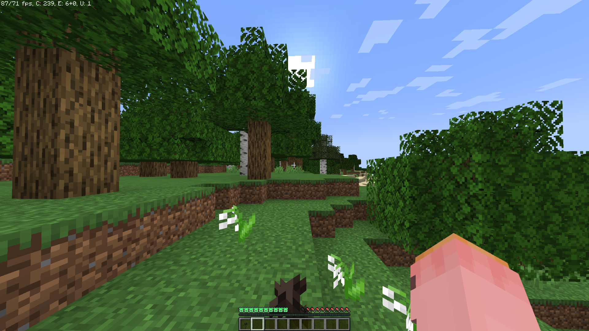 Robyn's Froggie Hearts - Minecraft Resource Packs - CurseForge