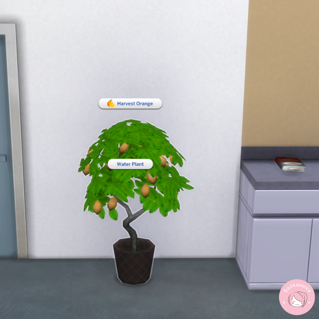 Orange [Harvestable Indoor Plant] - The Sims 4 Mods - CurseForge