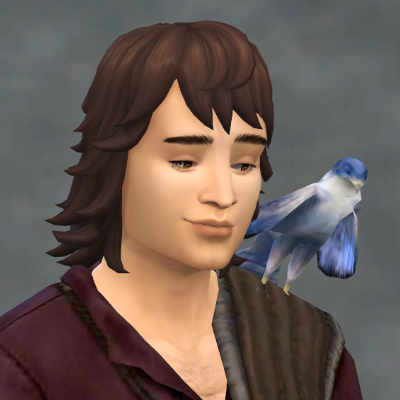 TSM Falcon as Accessory - The Sims 4 Create a Sim - CurseForge