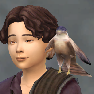 TSM Falcon as Accessory - The Sims 4 Create a Sim - CurseForge