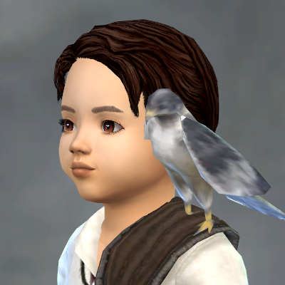 TSM Falcon as Accessory - The Sims 4 Create a Sim - CurseForge