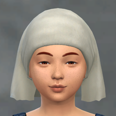 TSM Simple Veil - The Sims 4 Create a Sim - CurseForge