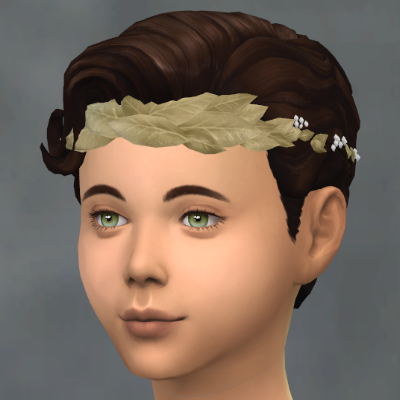 TSM Leaves Crown for All Ages - The Sims 4 Create a Sim - CurseForge