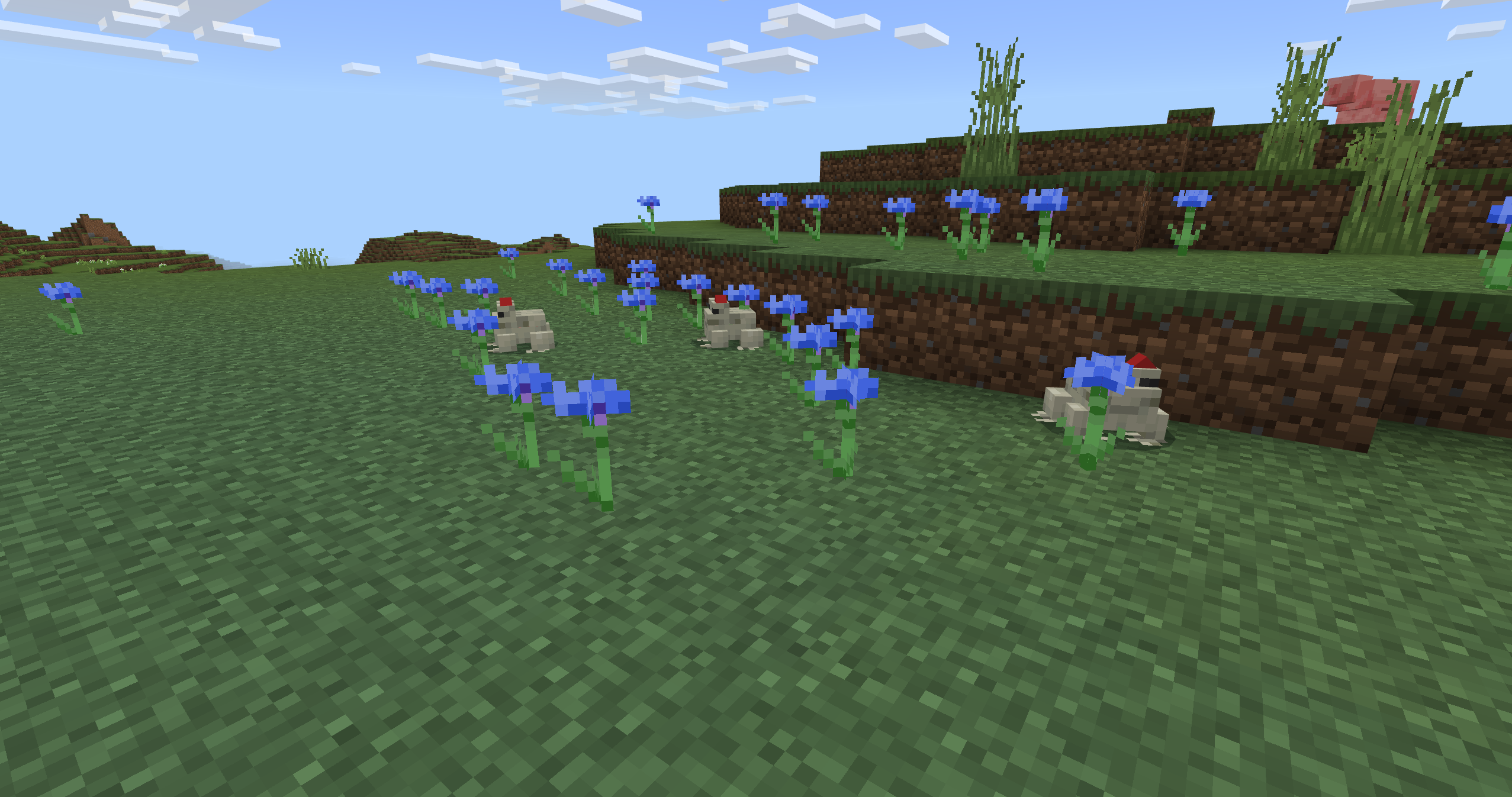 Frogs With Hats - Gallery - Minecraft Addons - CurseForge