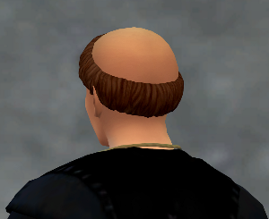 TSM Donut Hair for Monks - The Sims 4 Create a Sim - CurseForge