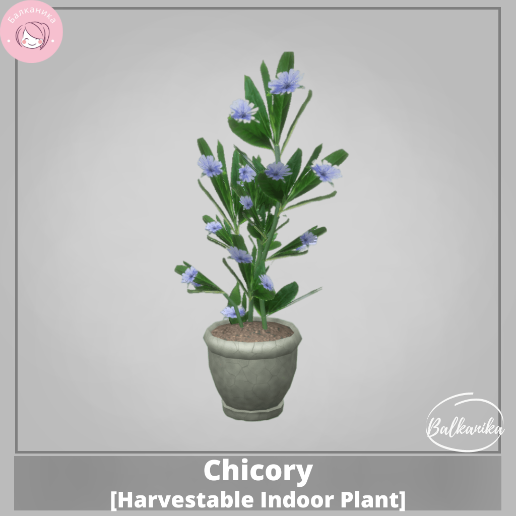 Chicory [Harvestable Indoor Plant] - The Sims 4 Mods - CurseForge