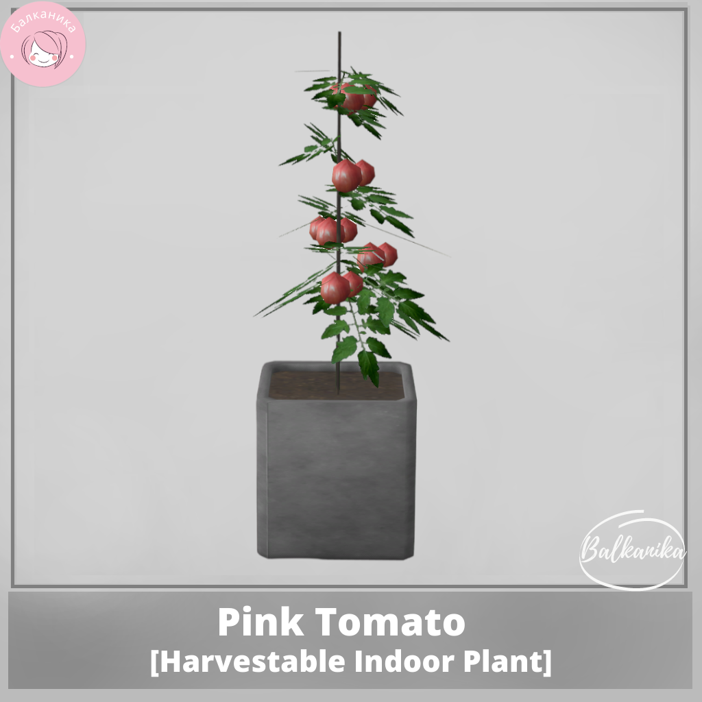 Pink Tomato [Harvestable Indoor Plant] - The Sims 4 Mods - CurseForge
