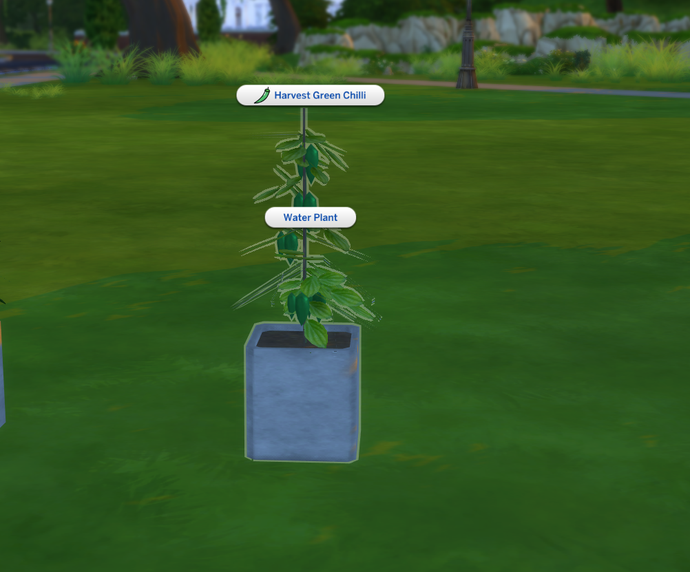 Green Chili [Harvestable Indoor Plant] - The Sims 4 Mods - CurseForge