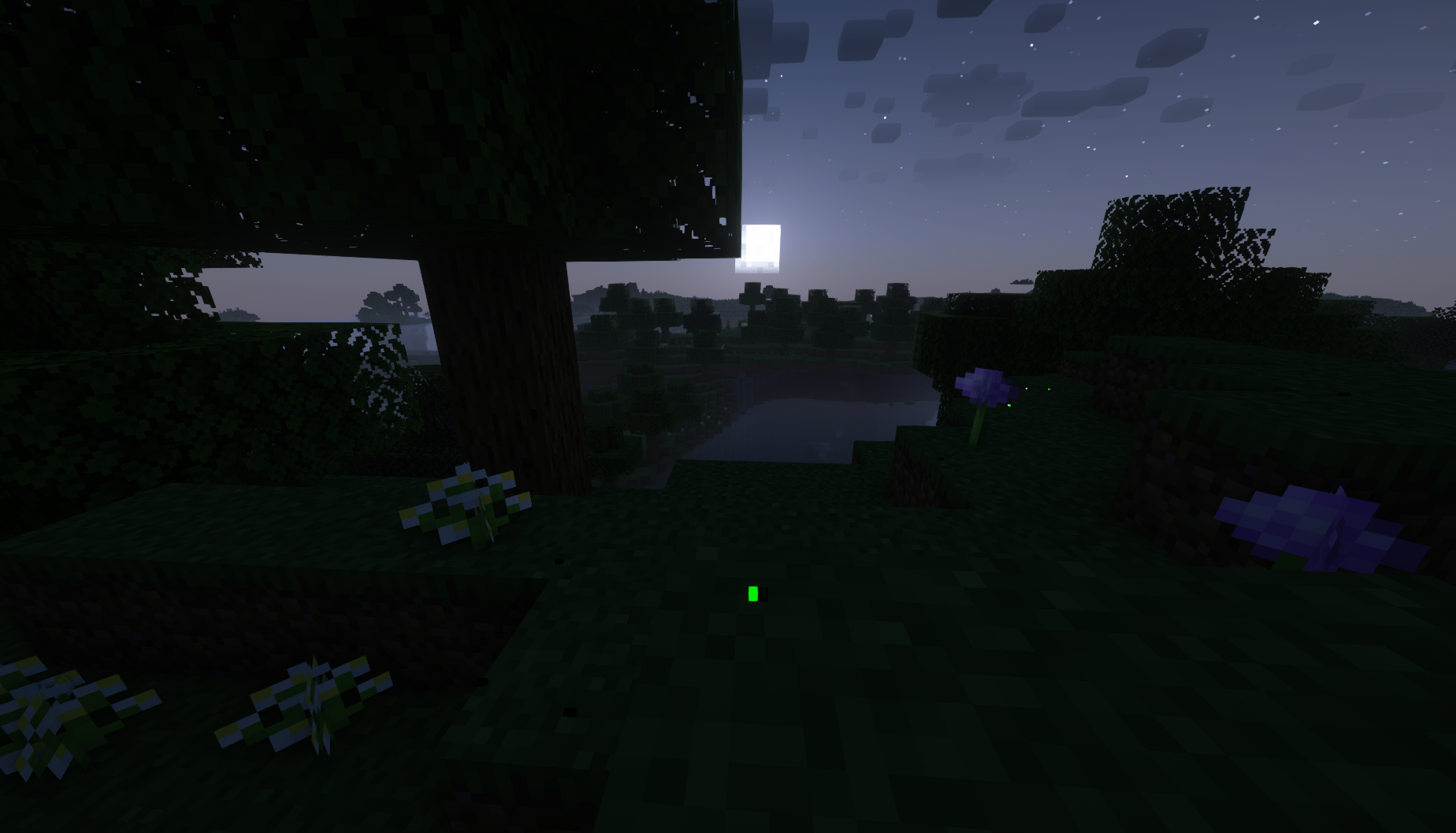 Colorfly - Minecraft Mods - CurseForge