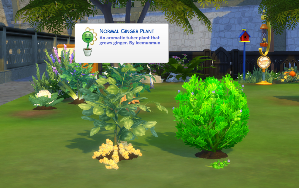 Harvestable Ginger - The Sims 4 Mods - CurseForge