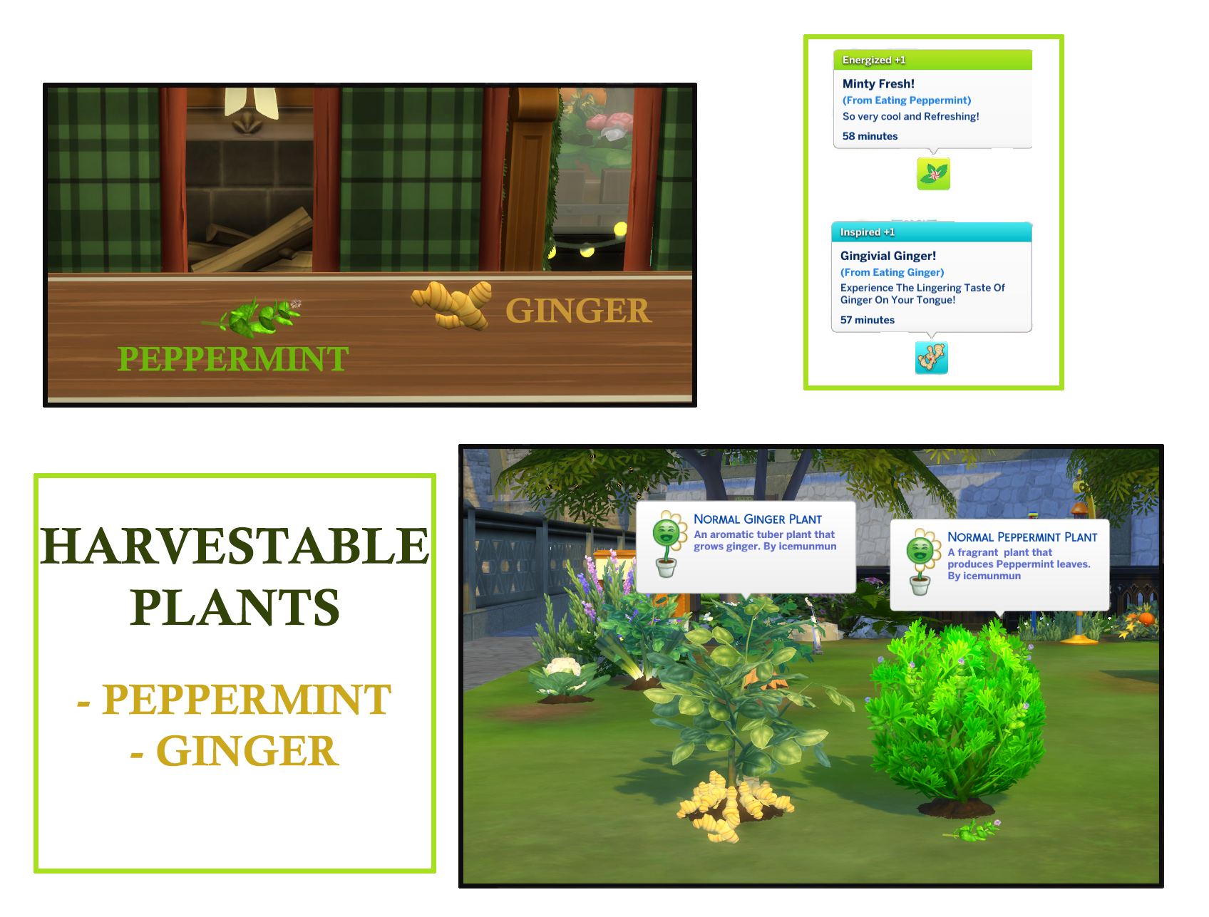 Harvestable Peppermint - The Sims 4 Mods - CurseForge